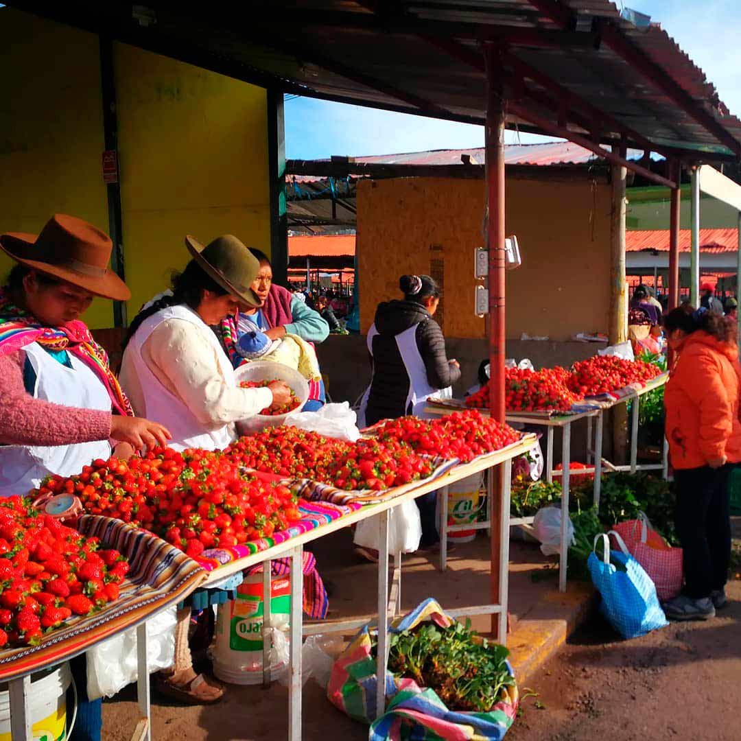 Markets in Cusco: Complete guide of places to visit - Machu Picchu Wayna
